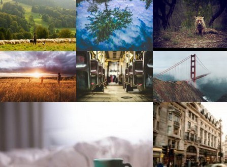 ⭐ Pure JavaScript/CSS Powered Photo Gallery popup-zoomwall. js ...